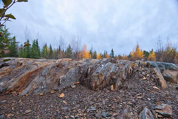 About us - Landore Resources Limited